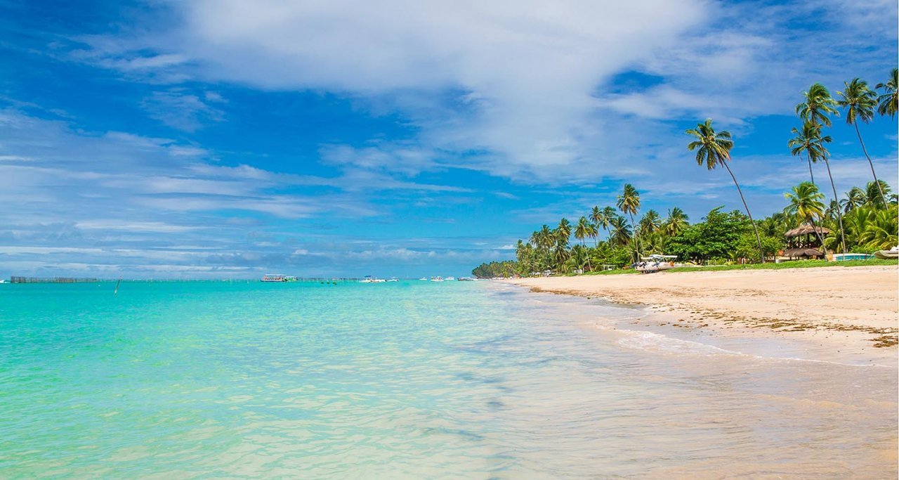 Pipa Brasil: Qué hacer, Qué conocer, Playas y Hoteles 🥇【2025 】🥇